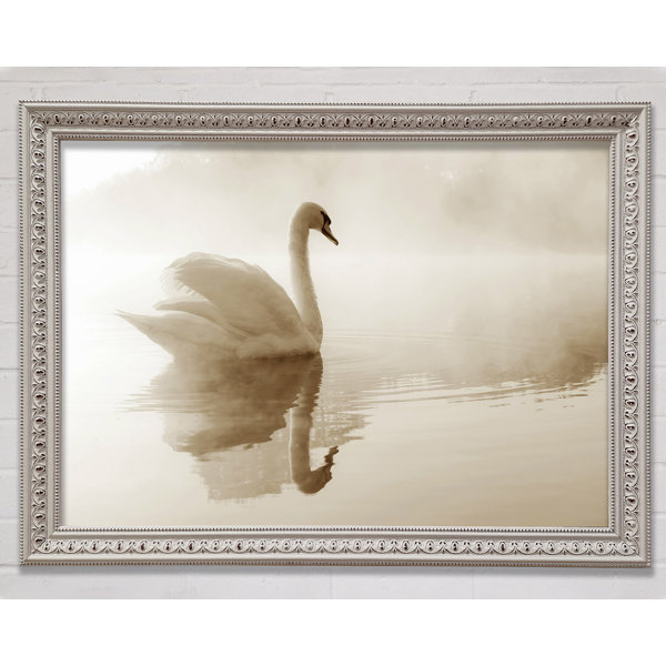 Bright Star Lonesome Swan - Single Picture Frame Art Prints | Wayfair.co.uk