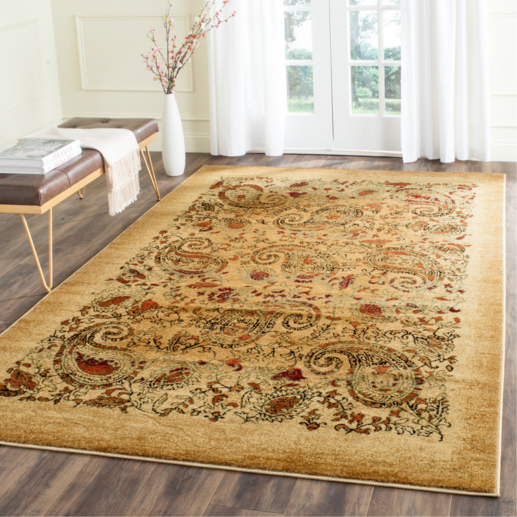 Charlton Home® Klose Performance Paisley Rug & Reviews | Wayfair