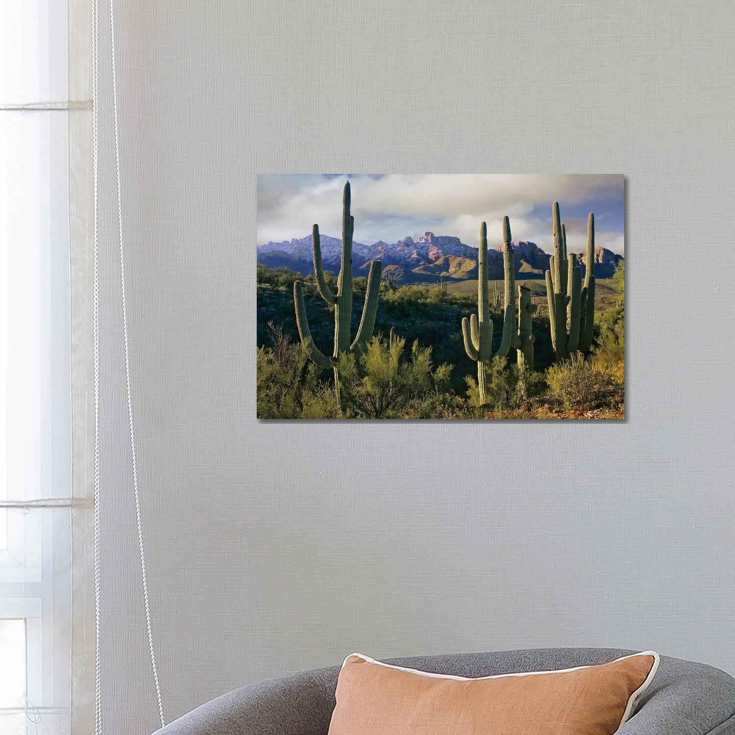 Millwood Pines Saguaro Cacti And Santa Catalina Mountains Arizona Print ...