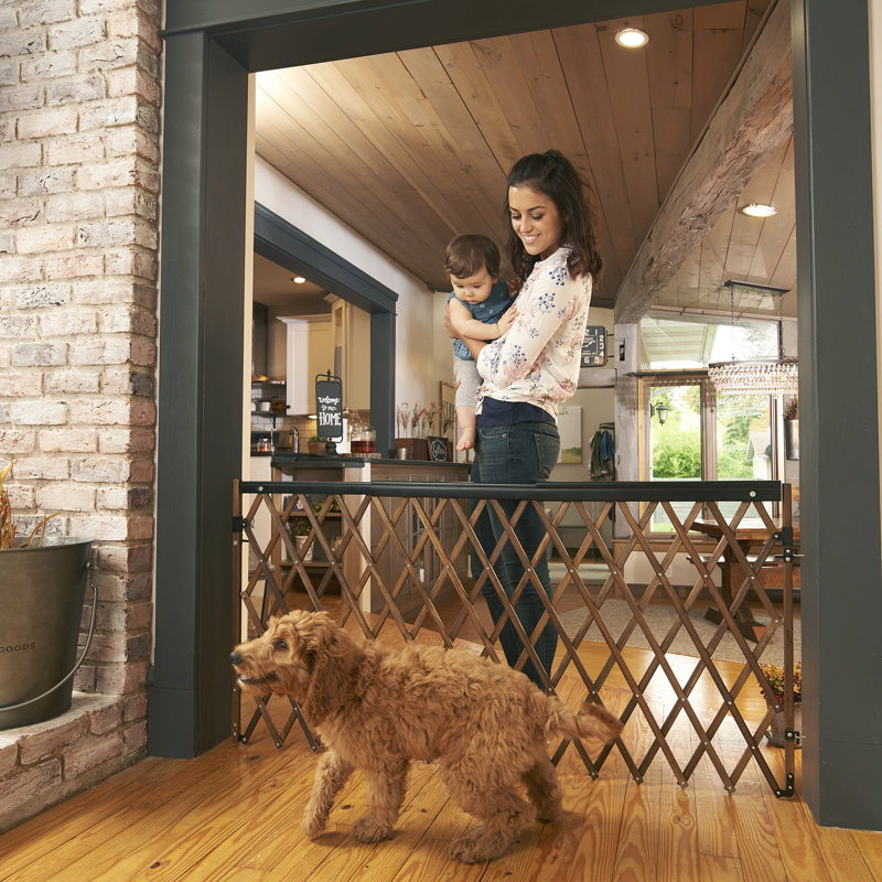 Evenflo Expansion Walk Thru Safety Gate & Reviews | Wayfair