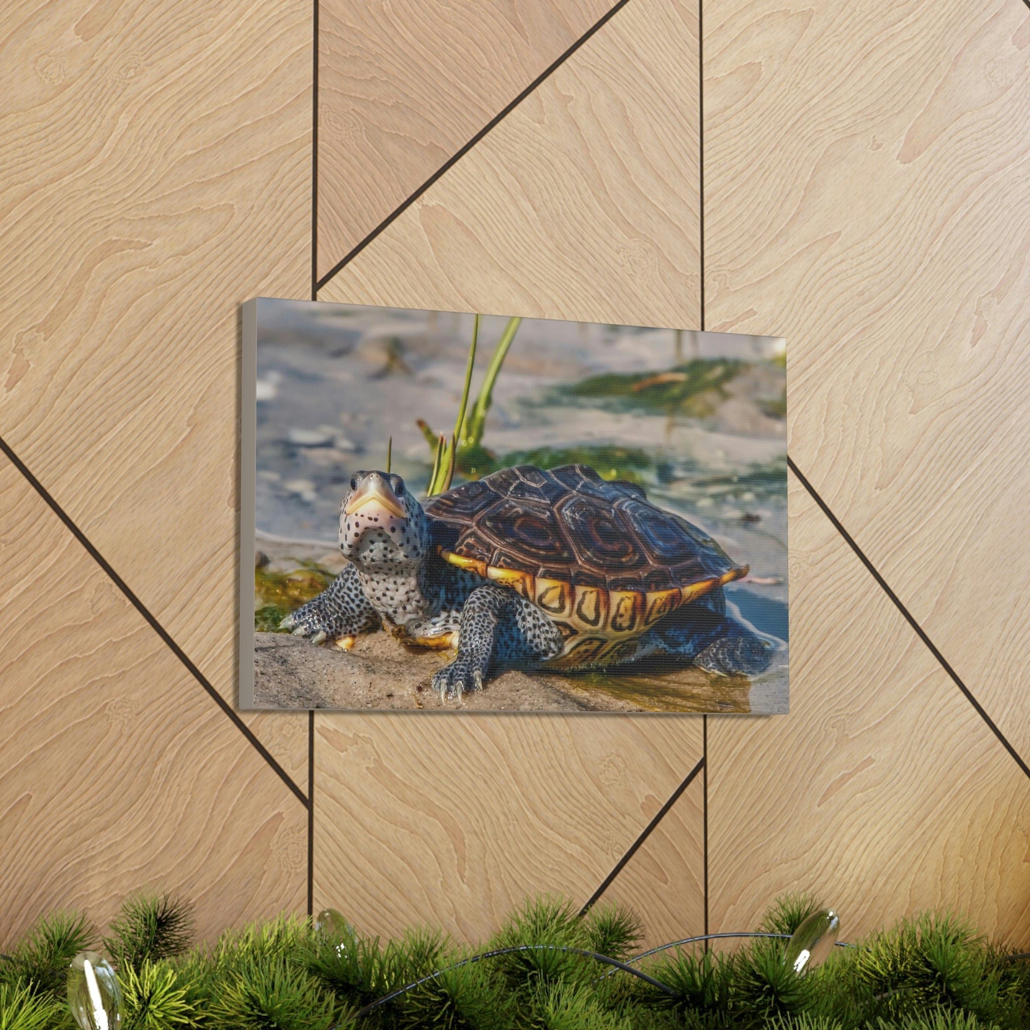 Bay Isle Home™ Majestic Terrapin Art Majestic Terrapin Print Animal ...