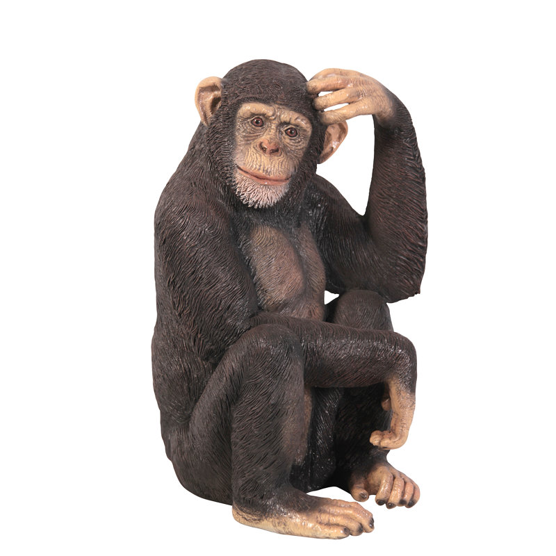 Design Toscano Chauncey the Confused Chimp Garden Monkey Statue ...