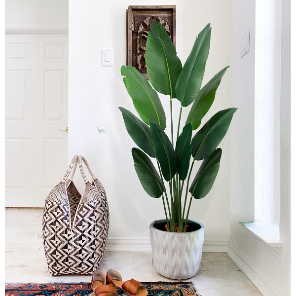 Primrue Faux bananier en pot noir Oakgrove et Commentaires - Wayfair Canada