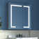 Orren Ellis Vinush Frameless Medicine Cabinet with LED Lighting, 3 ...