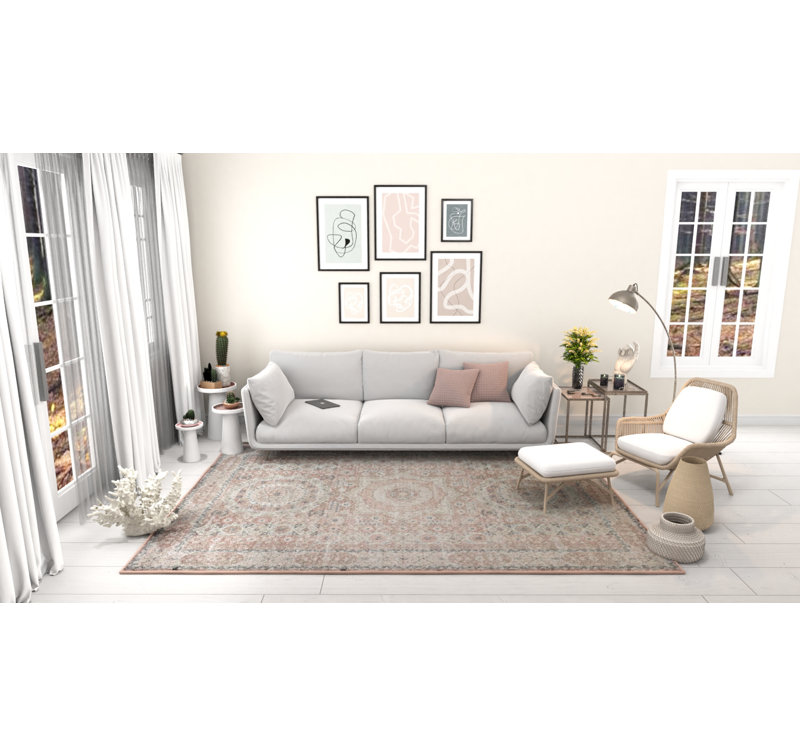 Bungalow Rose Hailey Vintage Pink Lemonade Area Rug & Reviews | Wayfair