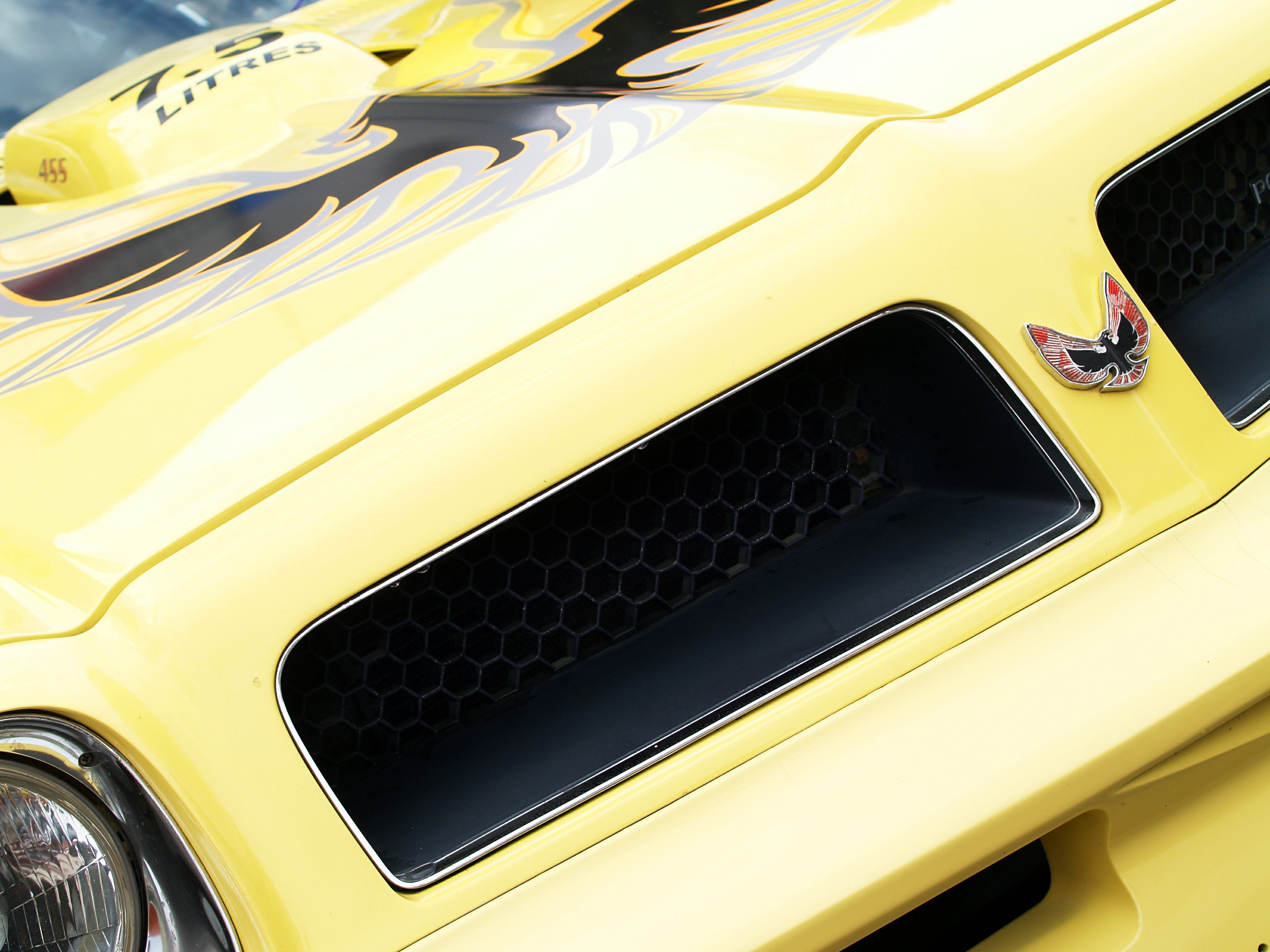 Ebern Designs 1976 Pontiac Trans Am - Wrapped Canvas Print | Wayfair