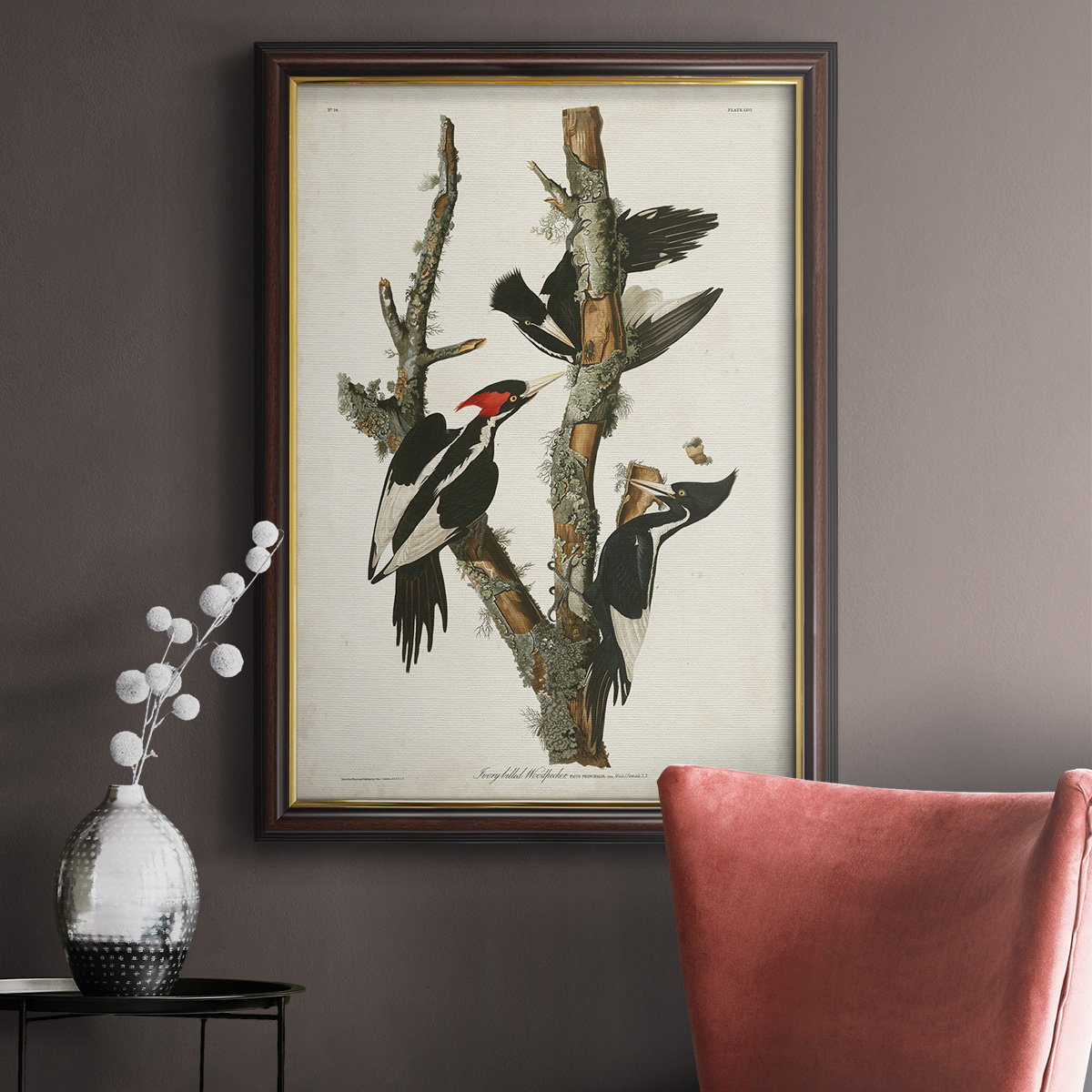 Millwood Pines Pl 66 Ivory Billed Woodpecker - Picture Frame Painting ...
