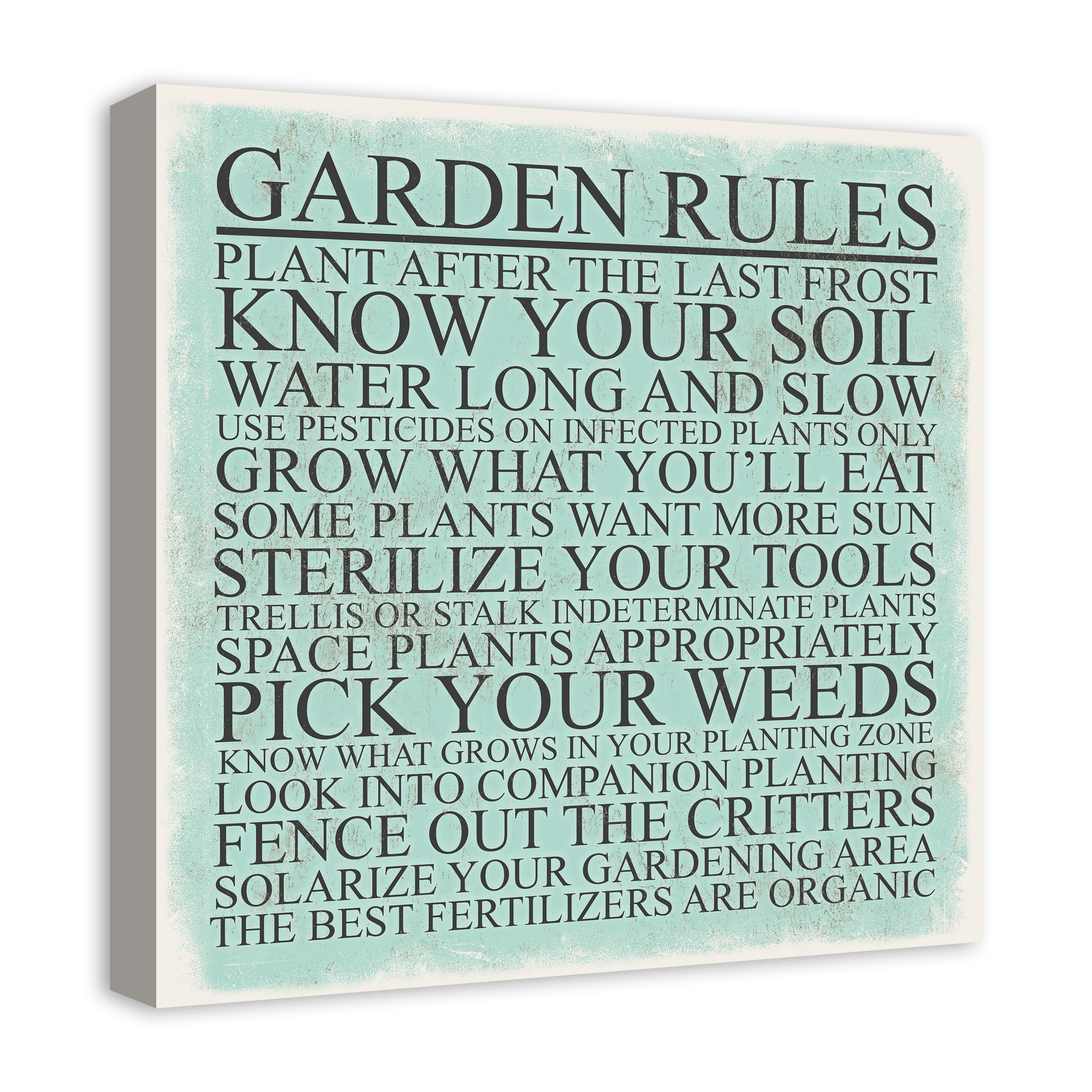August Grove® 'Garden Rules' Textual Art on Canvas | Wayfair