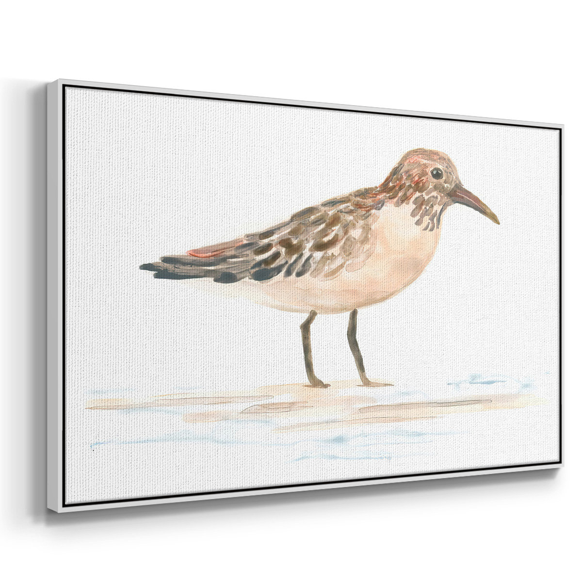 Wexford Home Pretty Piper III Framed On Canvas Print | Wayfair