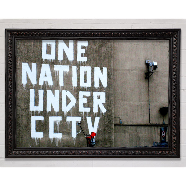 Rosalind Wheeler One Nation Under Cctv - Single Picture Frame Art ...