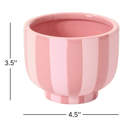 Birch Lane™ Pink Striped Compote | Birch Lane