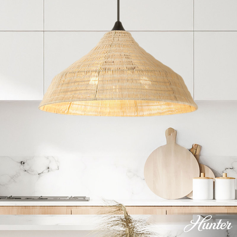 Hunter Fan Hunter Agoura 3 Light Extra Large Pendant Ceiling Light ...