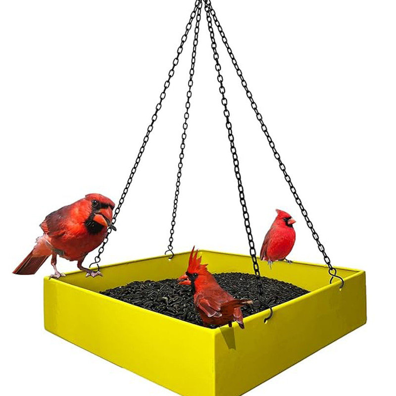 Arlmont & Co. Metal Bird Feeders for Outdoors, 360 Degree Perch, Large ...
