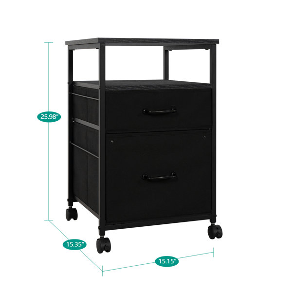 Ebern Designs 2 Drawer Mobile File Cabinet, Office Drawer with Open ...