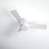 Birch Lane™ 44" Peppadew 3 - Blade LED Standard Ceiling Fan with Wall ...