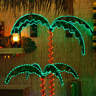 Bayou Breeze LED Rope Light Palm Lighted Trees & Branches & Reviews ...