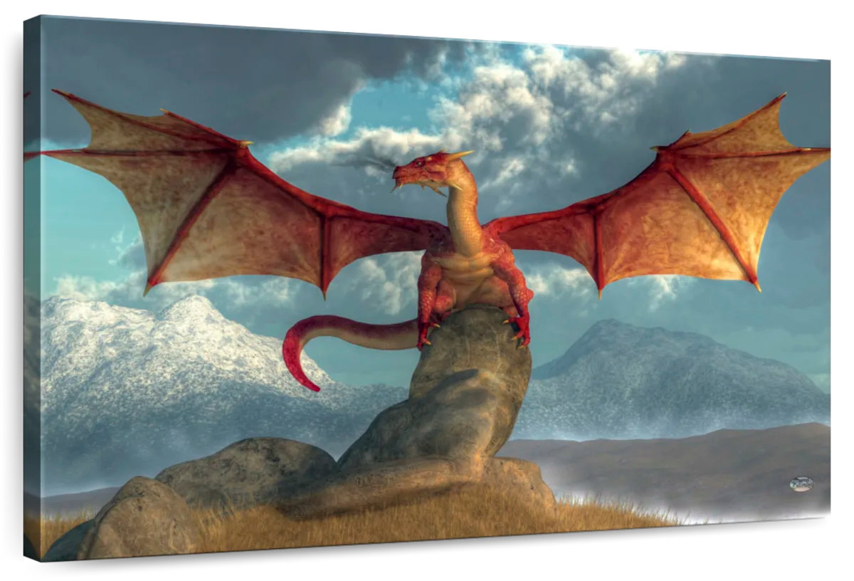 Dovecove Fire Dragon - Wayfair Canada