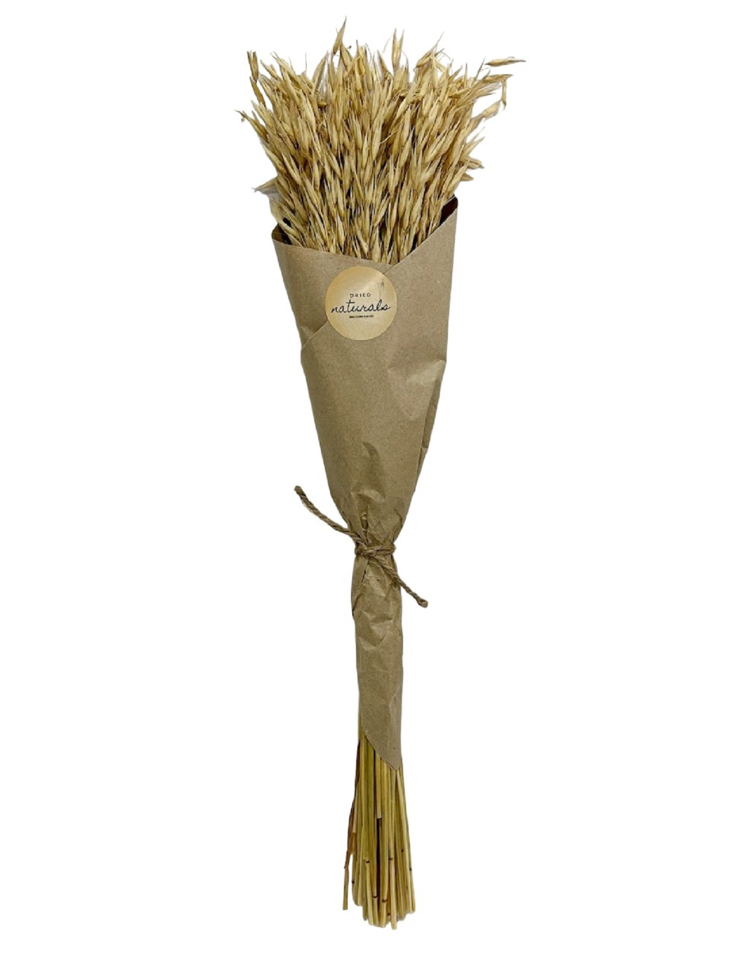 Primrue Avana Grass In Craft Paper Wrap Natural H 23.6" | Wayfair