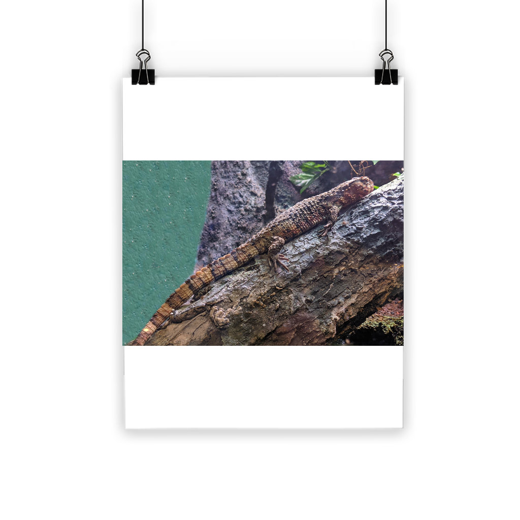 Marick Booster Lizard Classic Poster | Wayfair