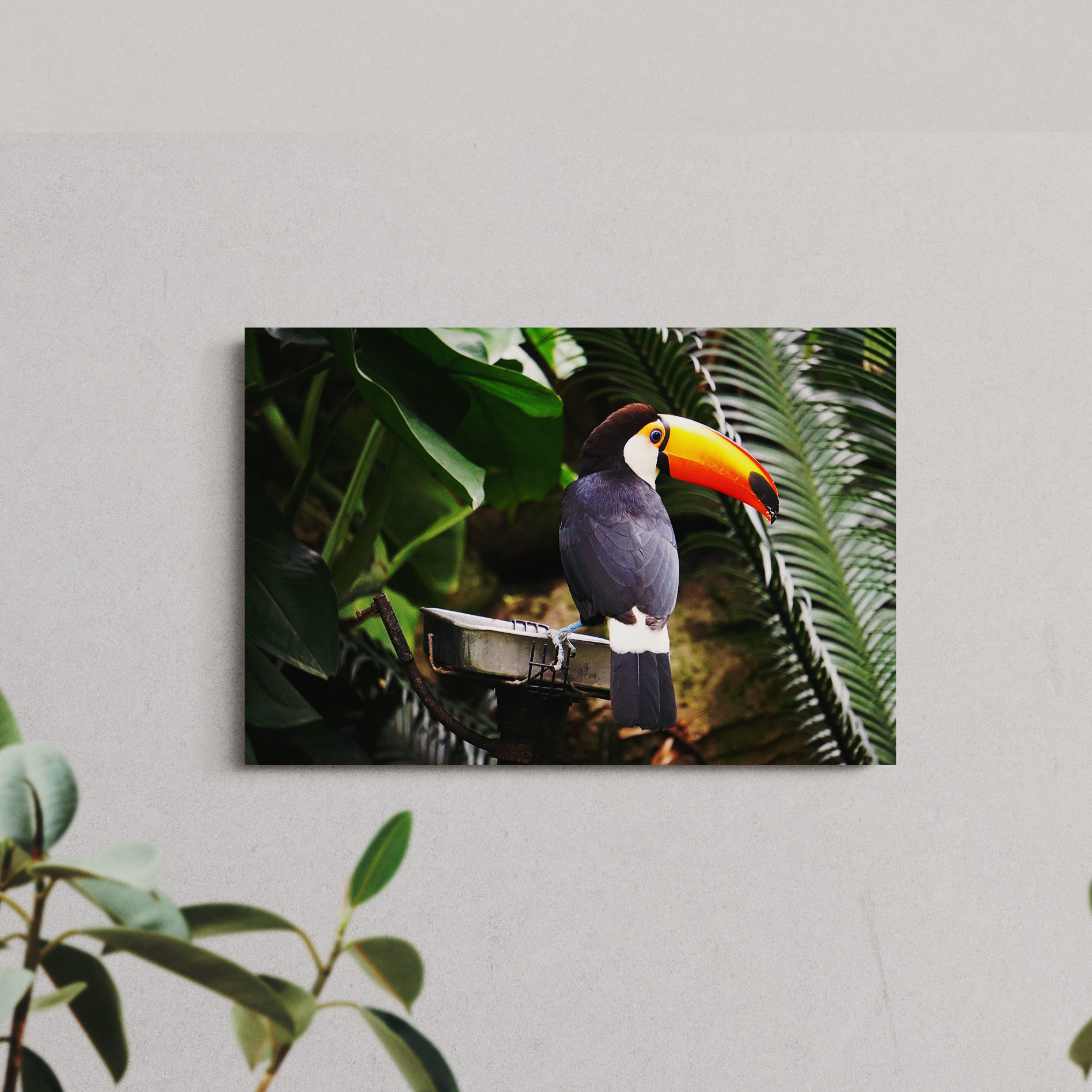 Latitude Run® Perched Toco Toucan Bird | Wayfair