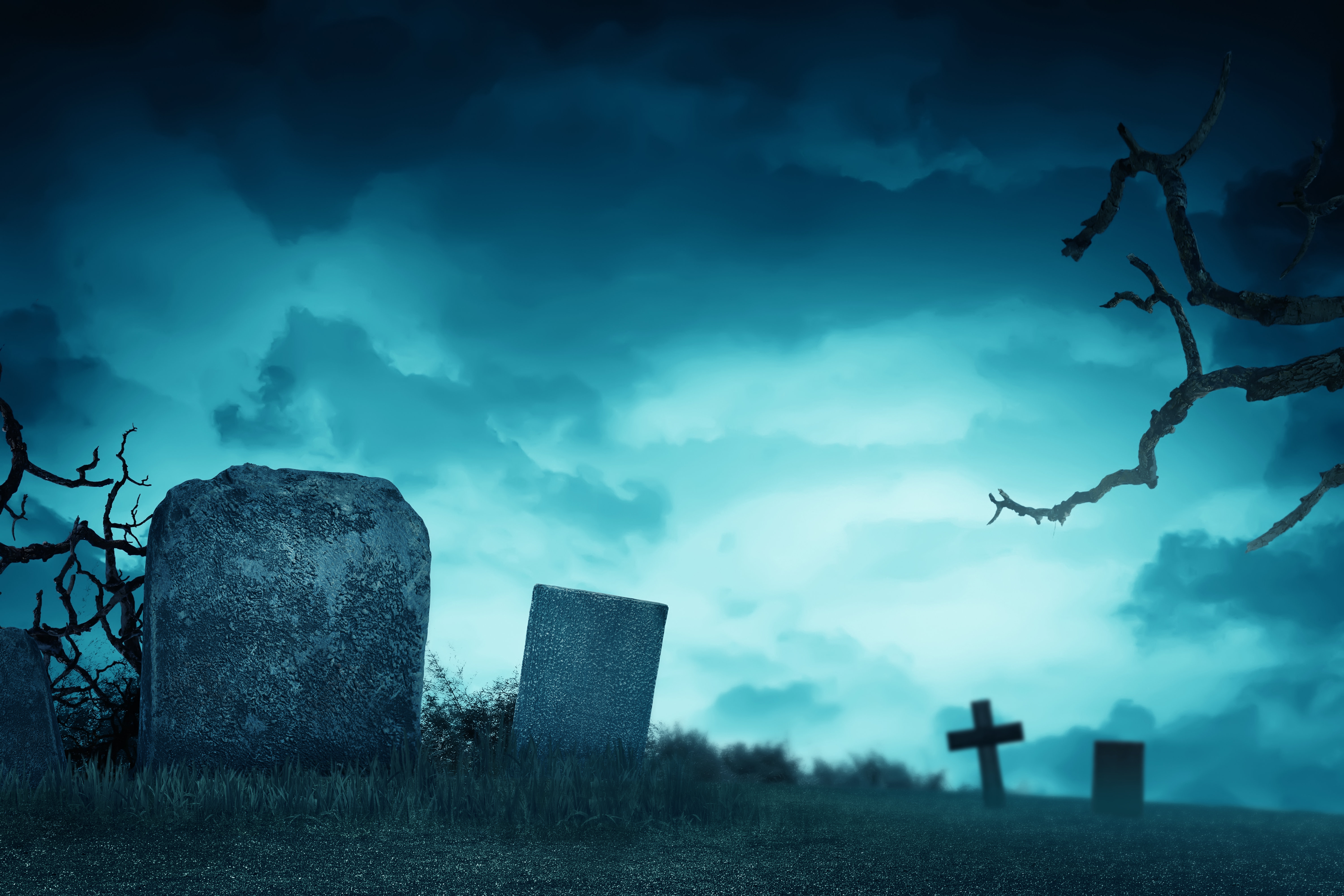 Ebern Designs Kokal Cemetery On Canvas by Leolintang Photograph | Wayfair