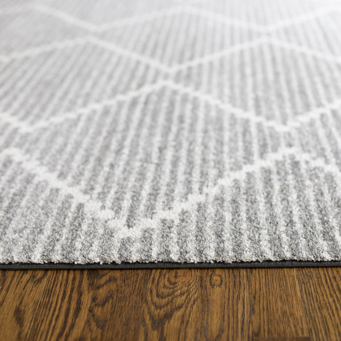 Mercury Row® Simone Performance Gray Rug & Reviews | Wayfair