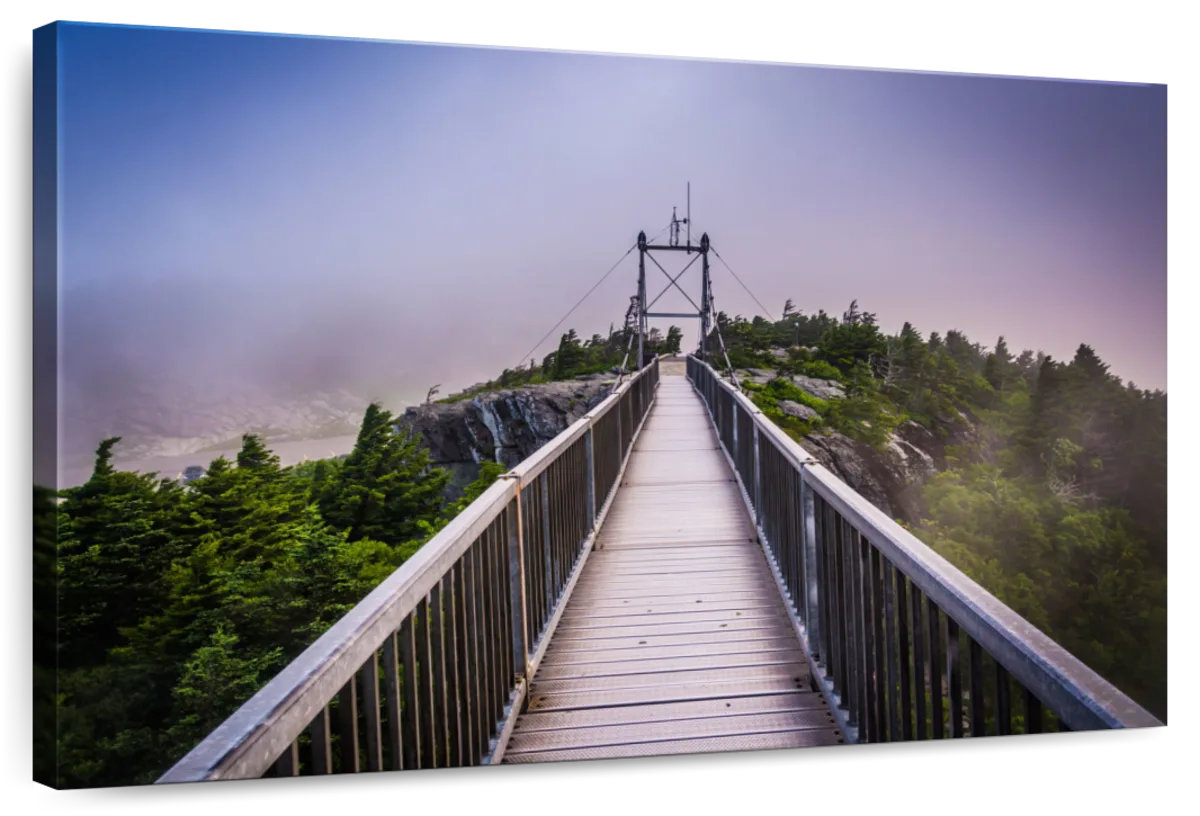 Ebern Designs Lilie Mile High Swinging Bridge - Wayfair Canada