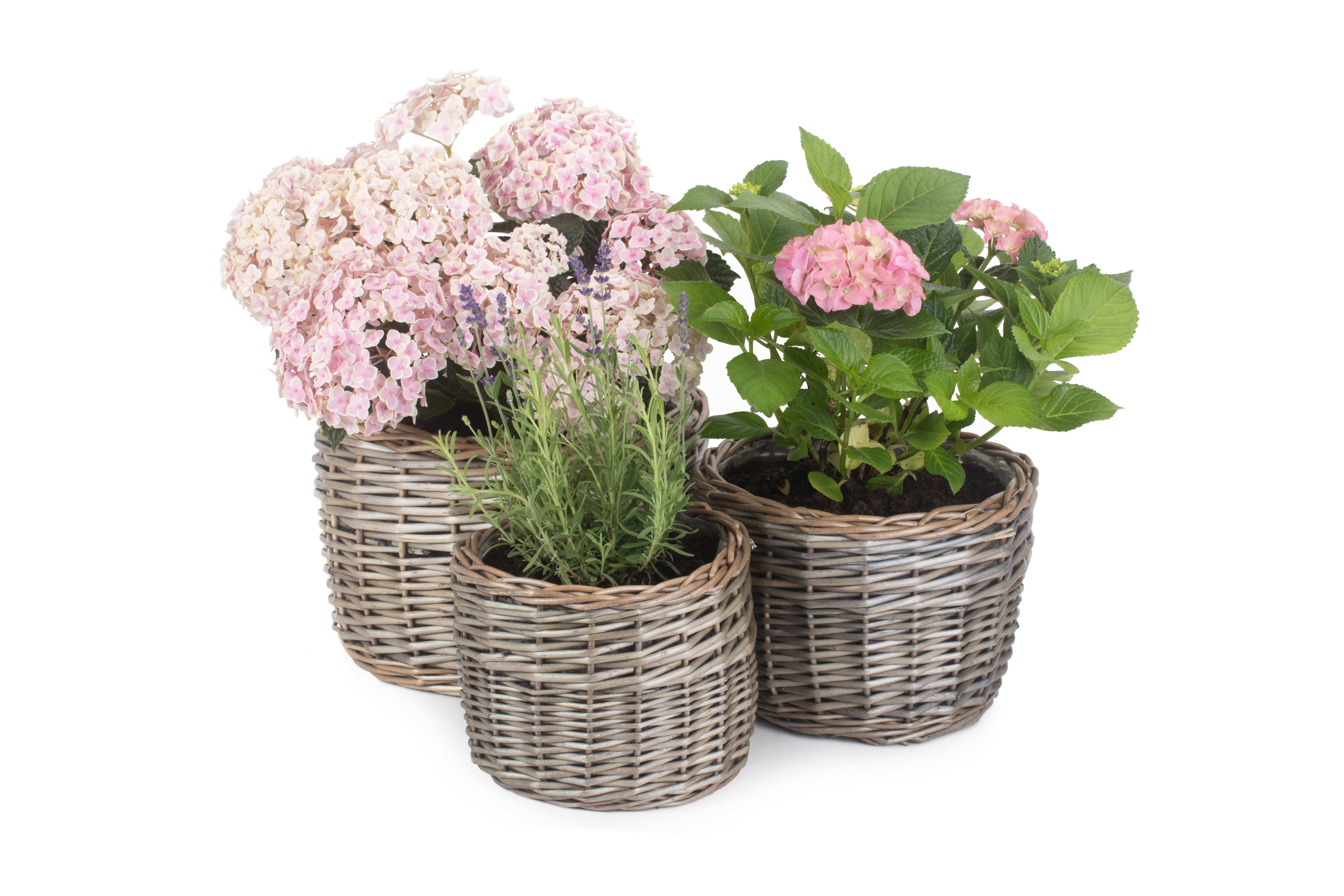 Lily Manor Wicker 3 Piece Planter Basket Set | Wayfair.co.uk