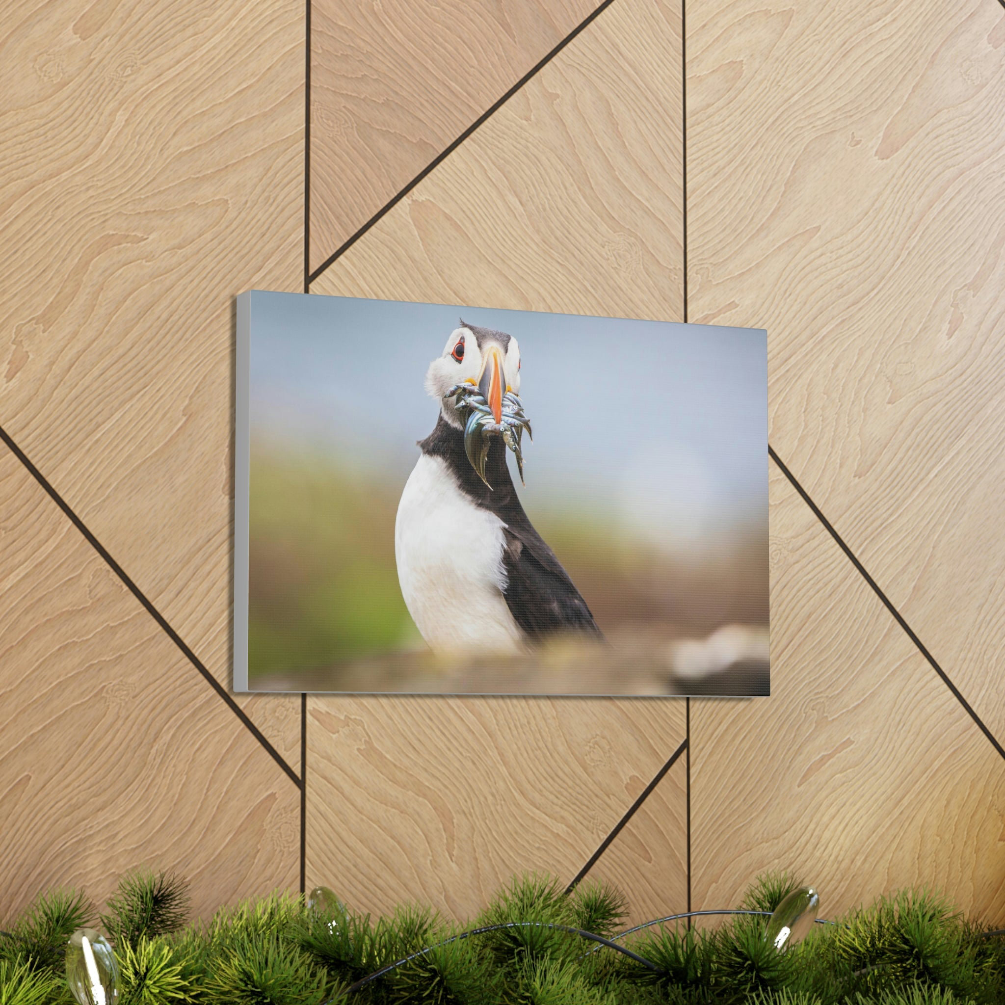 Beachcrest Home Funny Atlantic Puffin Silly Atlantic Puffin Inside Wall ...