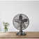 Lasko Classic 12" Oscillating Table Fan & Reviews | Wayfair
