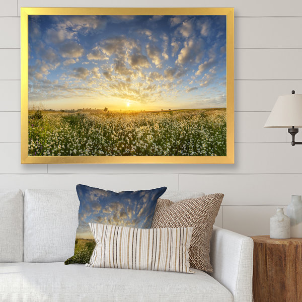 Ebern Designs Summer Sunrise Daisy Flowers " Summer Sunrise Daisy ...