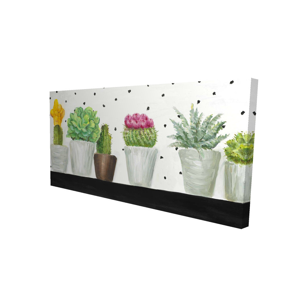Begin Edition International Inc. Mini Cactus and Succulents - Botanical ...