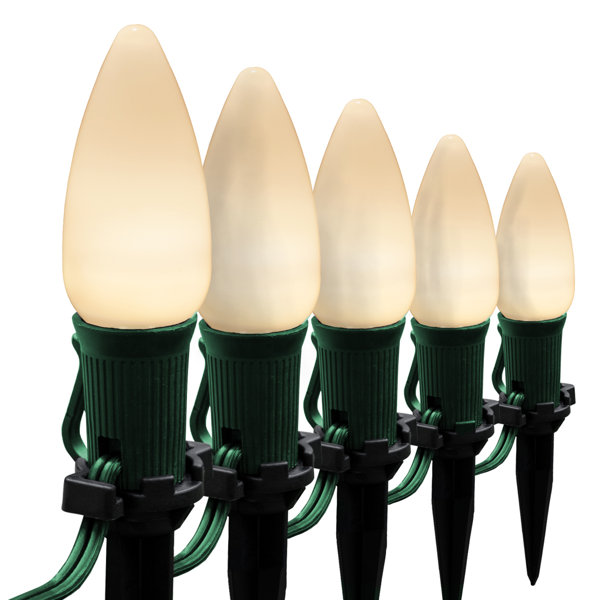 Wintergreen Lighting Smooth OptiCore Bulb Luminary & Pathway Lights ...