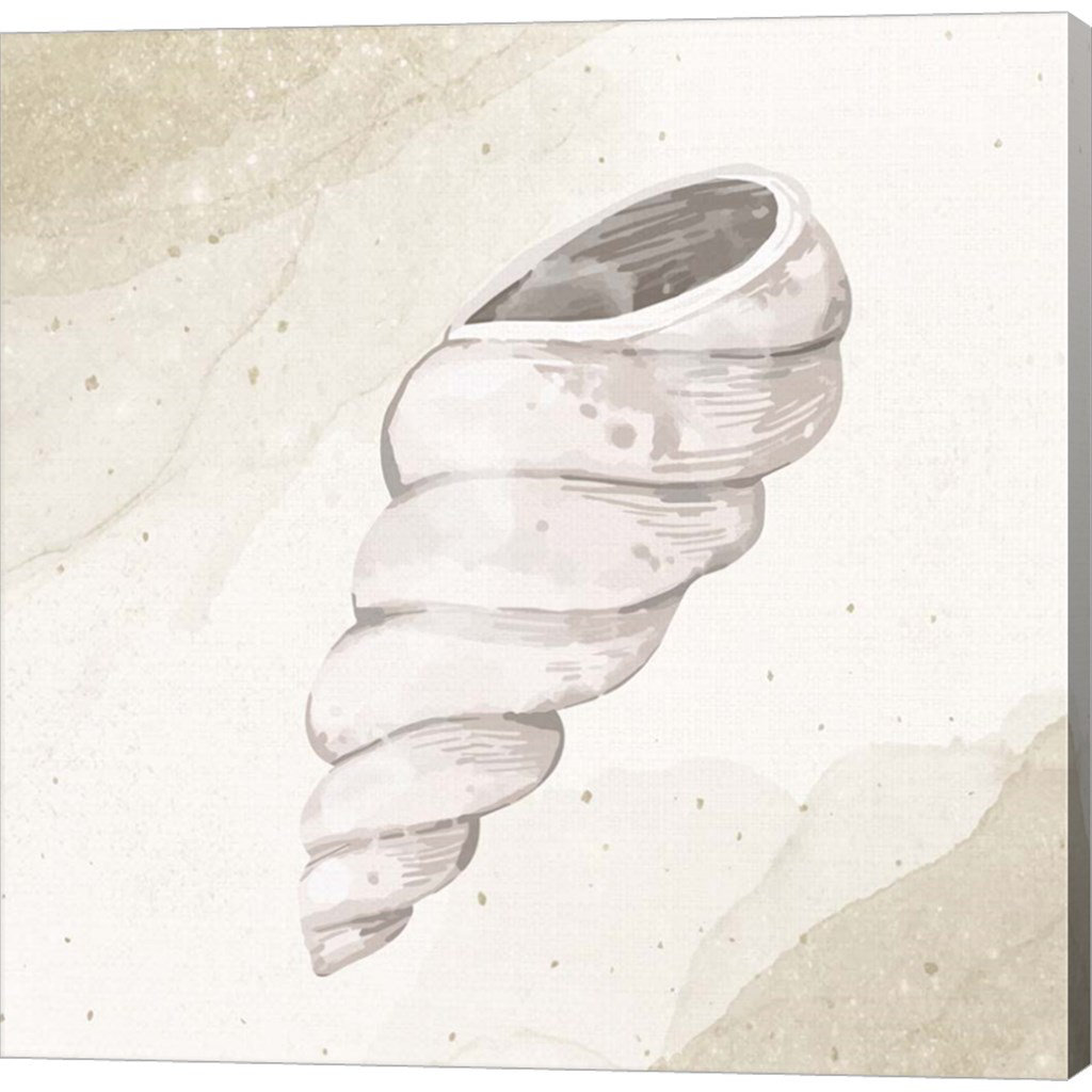 Highland Dunes Calming Shell 3 by Kimberly Allen - Wrapped Canvas ...