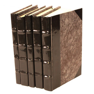 Leather Books 5 Piece Exotic Metallic Decorative Book Set | Perigold