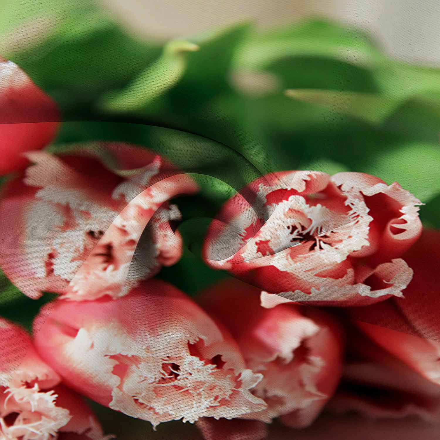 Ophelia & Co. Pink 52"W of Tulips White Zigzag Color Beautiful Beauty ...