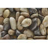 Exotic Pebbles & Glass Polished Pebbles & Reviews | Wayfair