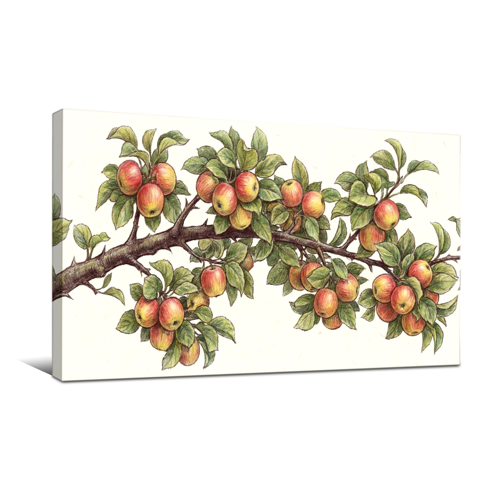 Canora Grey Plants &Flowers Apple Tree Branch With Fruits And Leaves ...