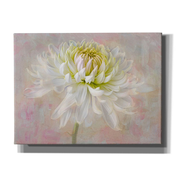 Red Barrel Studio® Cherish On Canvas by Pamela Plummer Print | Wayfair