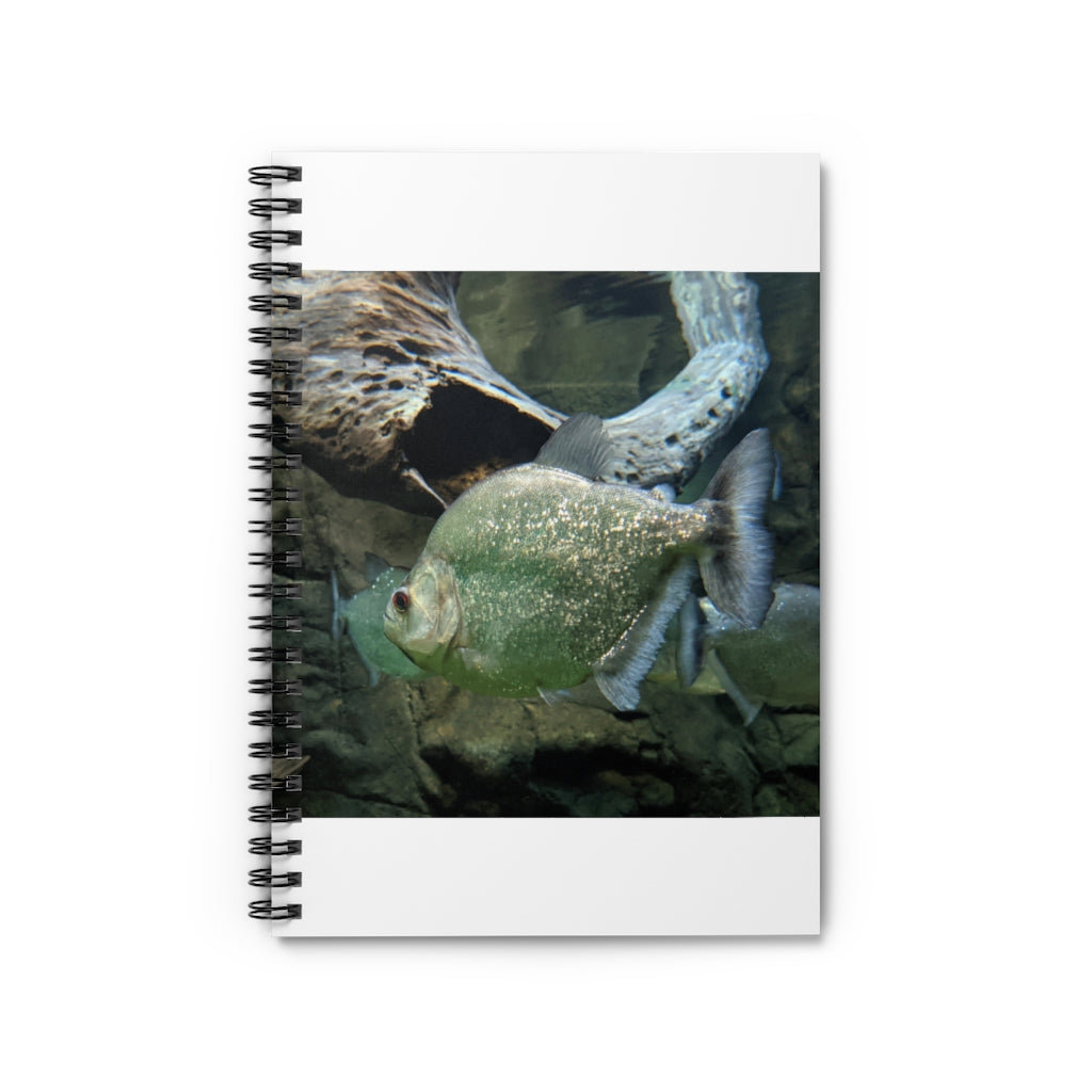 Marick Booster Fish Notebook | Wayfair