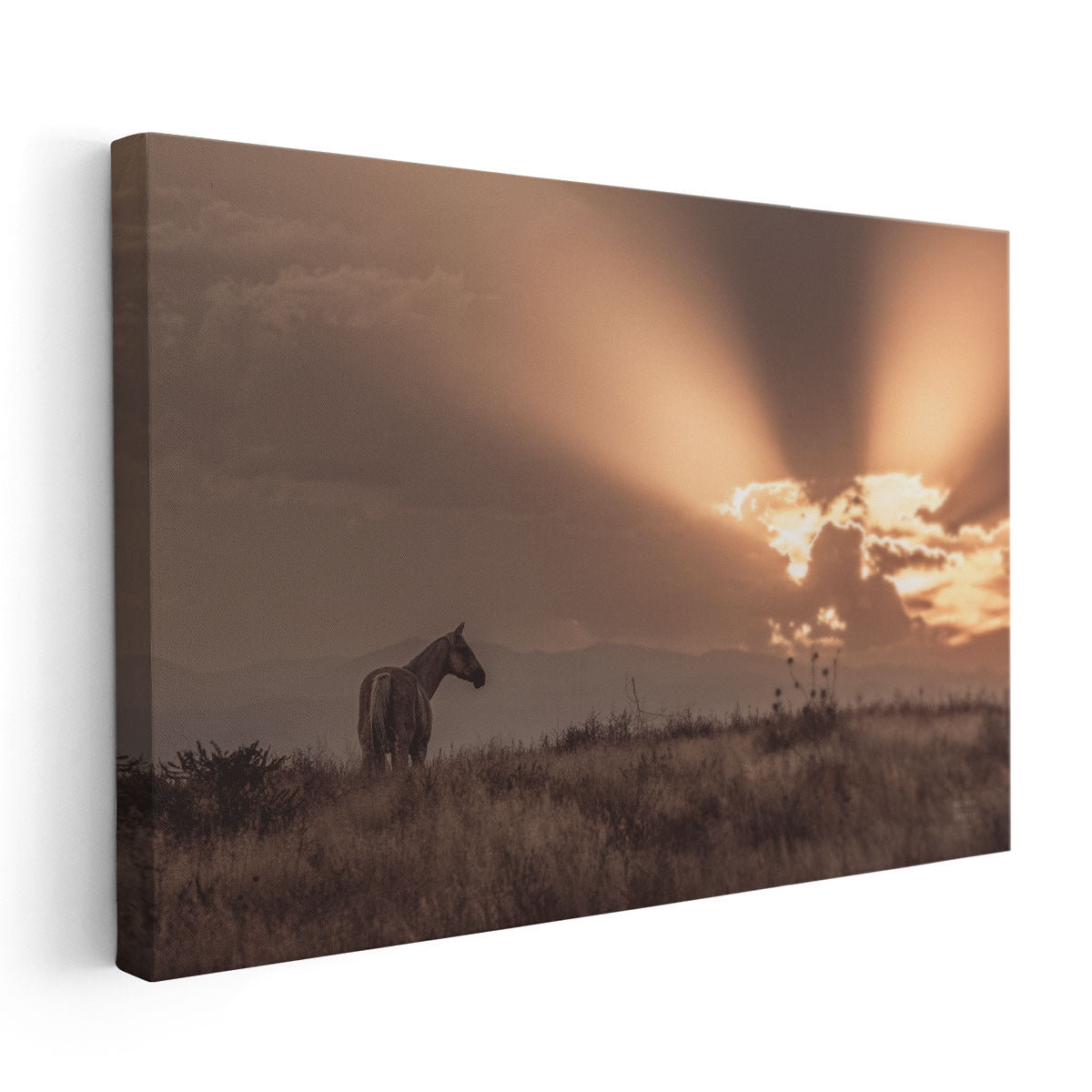 Union Rustic Faded Sunset - Canvas Print Wall Art | Wayfair