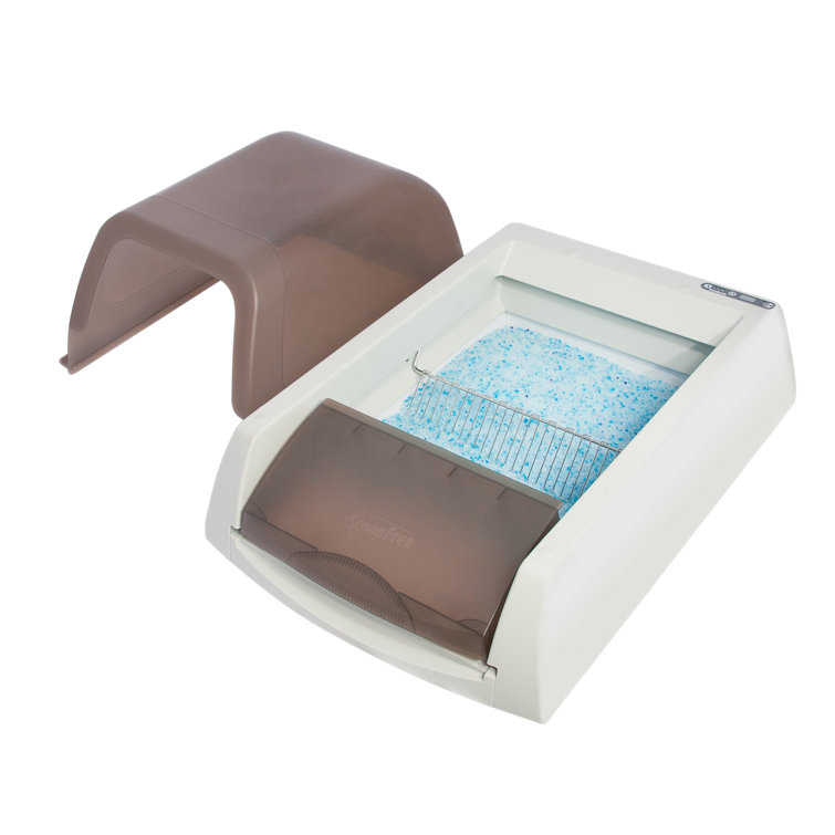 PetSafe® ScoopFree Litter Box Privacy Hood & Reviews - Wayfair Canada