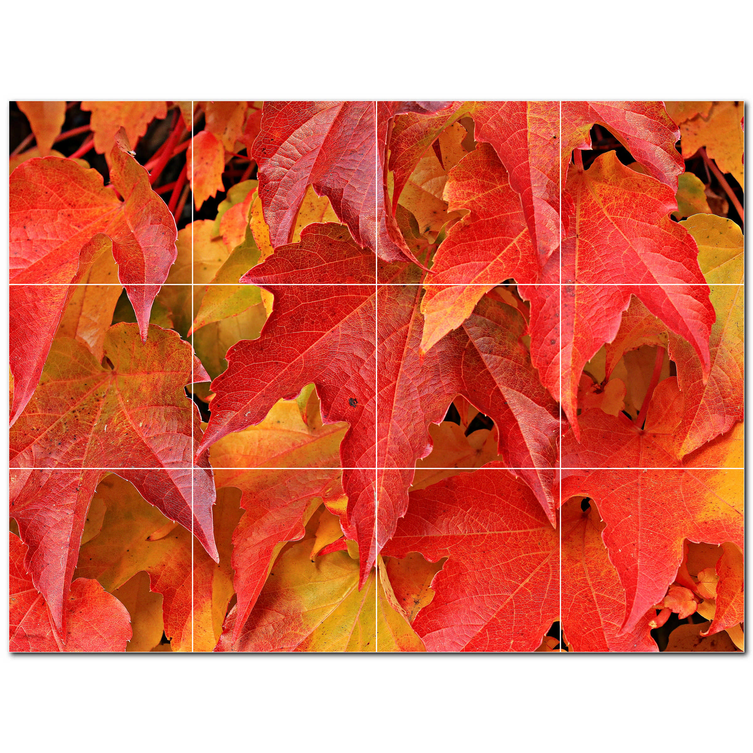 Picture-Tiles.com Autumn Photo 8'' x 8'' Satin Ceramic Decorative Mural ...