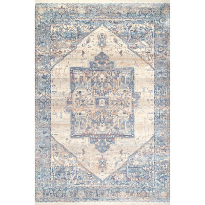 Union Rustic Alieda Oriental Light Blue Area Rug & Reviews | Wayfair