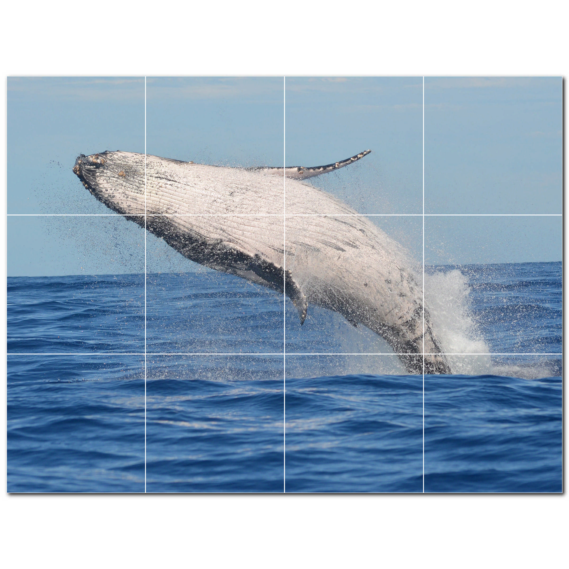 Picture-Tiles.com 48" x 36" Ceramic Whale Photo Decorative Mural Tile ...