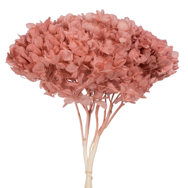 Primrue Natural Botanicals 15" Hydrangea with Multiple Branch Segments ...