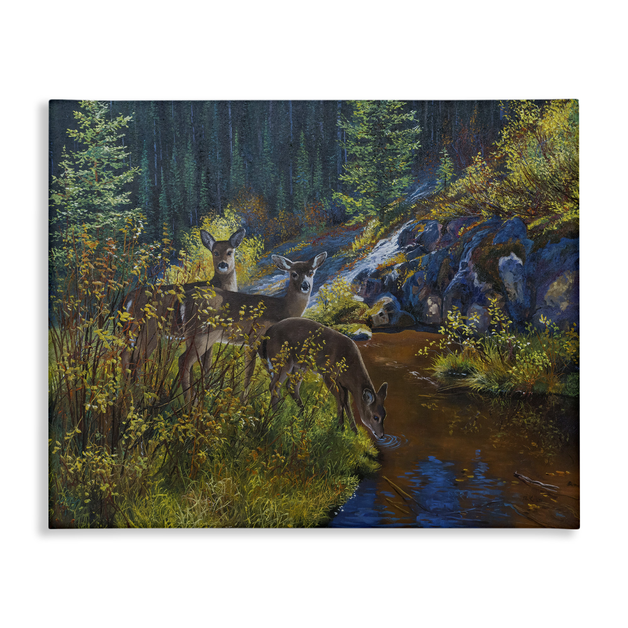 Ophelia & Co. Deer Drinking from River Canvas Wall Art by Andrew Kiss ...