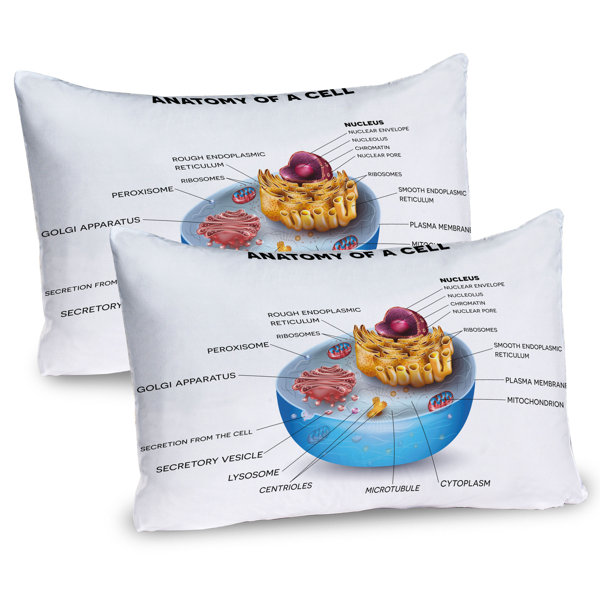 Ambesonne Science Pillow Sham 2 Pack Microscopic Parts Pale Blue Purple ...