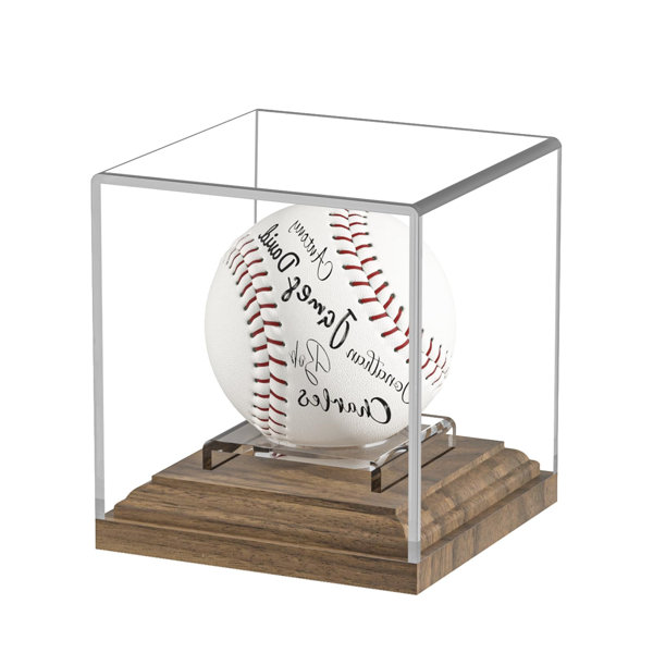 ARMIJU Walnut Wood Baseball Display Case with Acrylic Holder | Wayfair