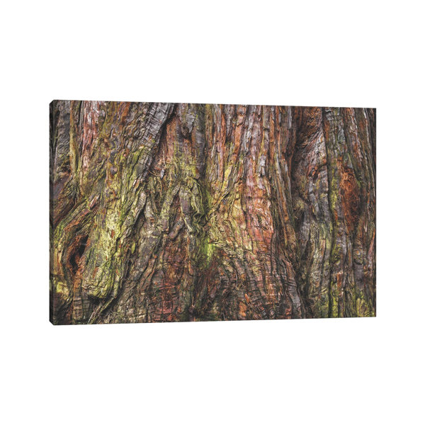 Alpen Home Sequoia Tree Bark by Louis Ruth - Wrapped Canvas Gallery ...